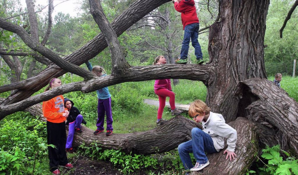 Home - Natural Playgrounds